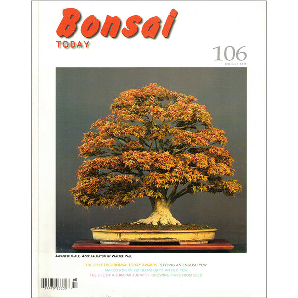 Bonsai Today 106 - Out of Print - Rare – Stone Lantern