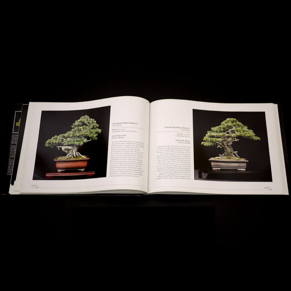 Bonsai Tree Gallery, National Bonsai Exhibition, Bonsai trees, American ...