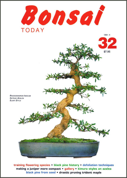 Bonsai Today 32 - Out of Print - Rare – Stone Lantern