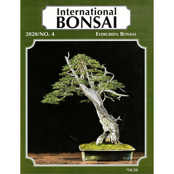 International Bonsai - 2020 No 4 - Limited Back Issues – Stone Lantern