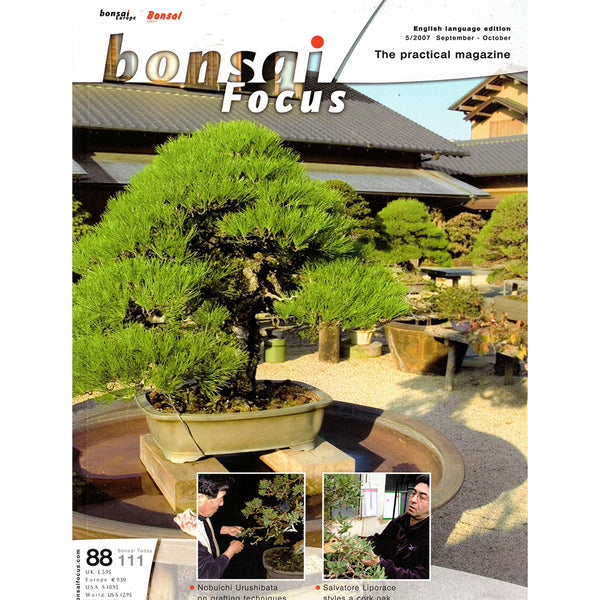 Bonsai Focus Magazine - 2007 No 5 - Limited Back Issues In Stock ...