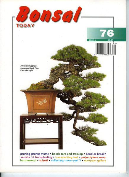 Bonsai Today 76 - Out of Print - Rare – Stone Lantern