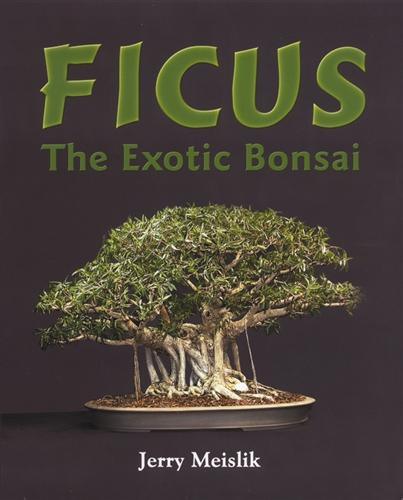 Care & how-to book for growing ficus bonsai trees – Stone Lantern